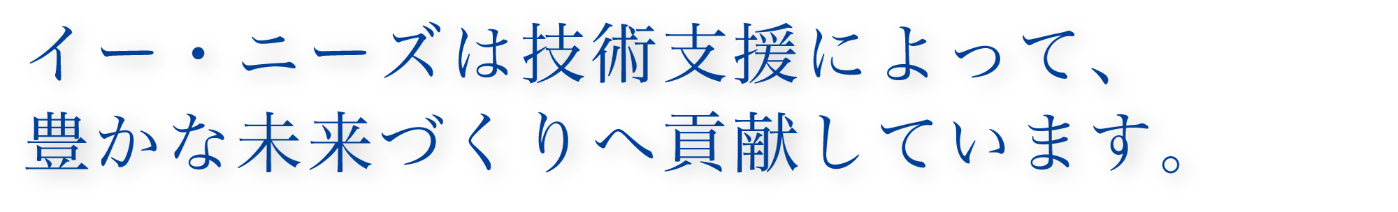 商品・サービス – E-NieS HP